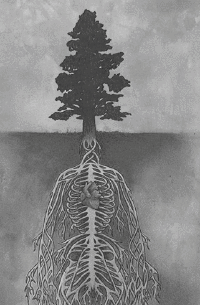 The tree of life GIF - Conseguir o melhor gif em GIFER