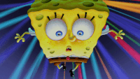 Taco GIFs - Get the best gif on GIFER