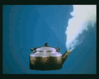 Pot GIFs - Get the best gif on GIFER
