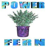 Fern GIFs - Get the best gif on GIFER