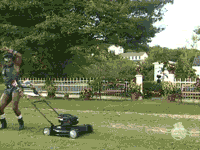 Mow GIFs - Get the best gif on GIFER