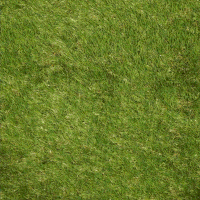 Blueberry GIFs - Get the best gif on GIFER