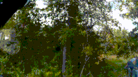 Atv GIFs - Get the best gif on GIFER