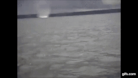 Spout GIFs - Get the best gif on GIFER