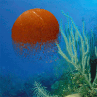 Medusa GIFs - Get the best gif on GIFER