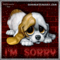 Perdon GIF - Conseguir el mejor gif en GIFER