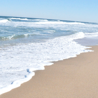 Florida GIFs - Get the best gif on GIFER