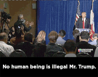 Representation GIFs - Get the best gif on GIFER