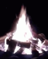 Bonfire GIFs - Get the best gif on GIFER