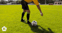 Referee GIFs - Get the best gif on GIFER