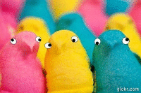 Peeps GIFs - Get the best gif on GIFER