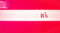 Grammar GIFs - Get the best gif on GIFER