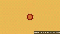 Aquila GIFs - Get the best gif on GIFER