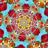 Blume GIFs - Get the best gif on GIFER