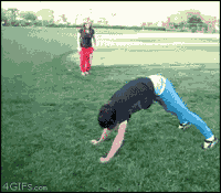 Tombo GIFs - Get the best gif on GIFER