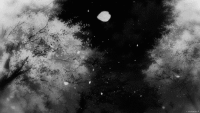 Negative GIFs - Get the best gif on GIFER