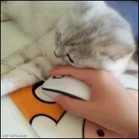 Computer mouse GIFs - Get the best gif on GIFER