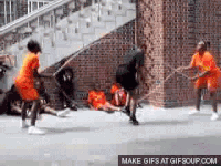 Dutch GIFs - Get the best gif on GIFER