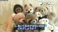 Stuffed GIFs - Get the best gif on GIFER