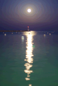 Landschaft GIFs - Get the best gif on GIFER