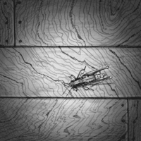Perception GIFs - Get the best gif on GIFER