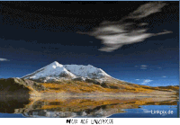 504 GIFs - Get the best gif on GIFER