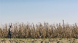 Looper GIFs - Get the best gif on GIFER