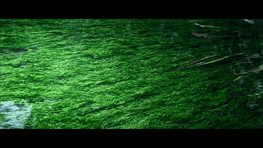 Andrei tarkovsky GIF - Conseguir el mejor gif en GIFER