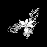 Bling GIFs - Get the best gif on GIFER