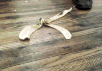 Slip GIFs - Get the best gif on GIFER