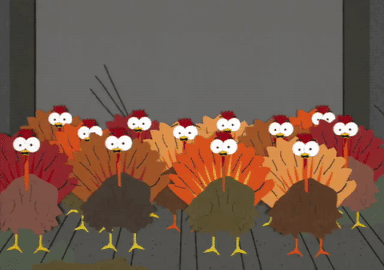 Turkeys GIF - Conseguir el mejor gif en GIFER
