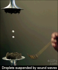 Suspended GIFs - Get the best gif on GIFER