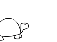Turtle GIFs - Get the best gif on GIFER