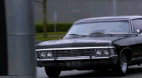 Impala GIFs - Get the best gif on GIFER