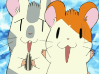 Hamtaro GIFs - Get the best gif on GIFER