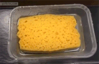 Sponge GIFs - Get the best gif on GIFER