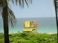 Miami GIFs - Get the best gif on GIFER