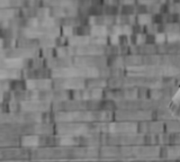 Notification GIFs - Get the best gif on GIFER