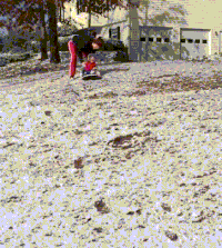 Sledding GIFs - Get the best gif on GIFER
