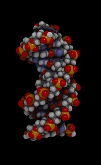 Microbiology GIFs - Get the best gif on GIFER