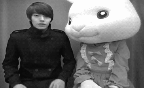 Tokki GIFs - Get the best gif on GIFER