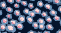 Humain GIFs - Get the best gif on GIFER