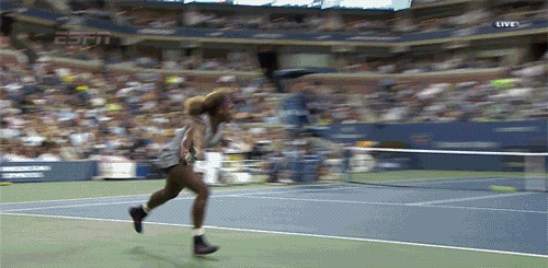 Baaaae GIFs - Get the best gif on GIFER