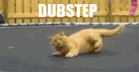 Dap GIFs - Get the best gif on GIFER