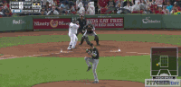 Forearms GIFs - Get the best gif on GIFER