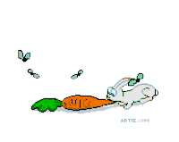 Carrot GIFs - Get the best gif on GIFER