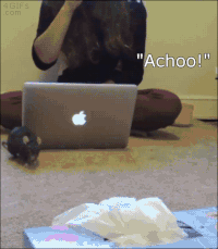 Achoo GIFs - Get the best gif on GIFER