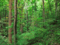 Dense GIFs - Get the best gif on GIFER