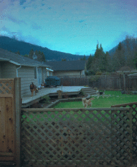 Patio GIFs - Get the best gif on GIFER