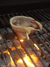 Steakmade GIFs - Get the best gif on GIFER